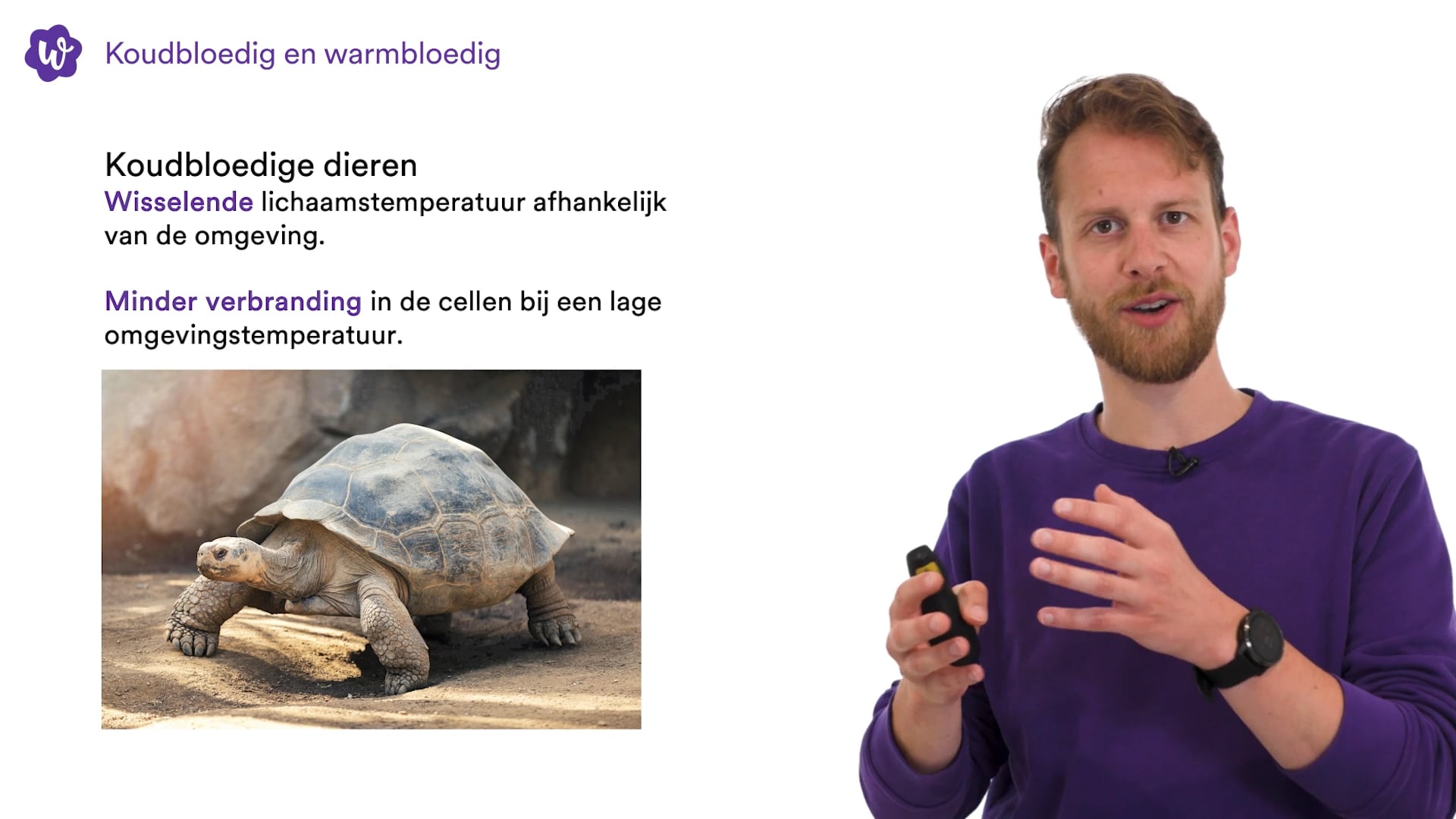 Oefen met Verbranding en ademhaling uit Biologie voor jou / bvj – 2/3 ...