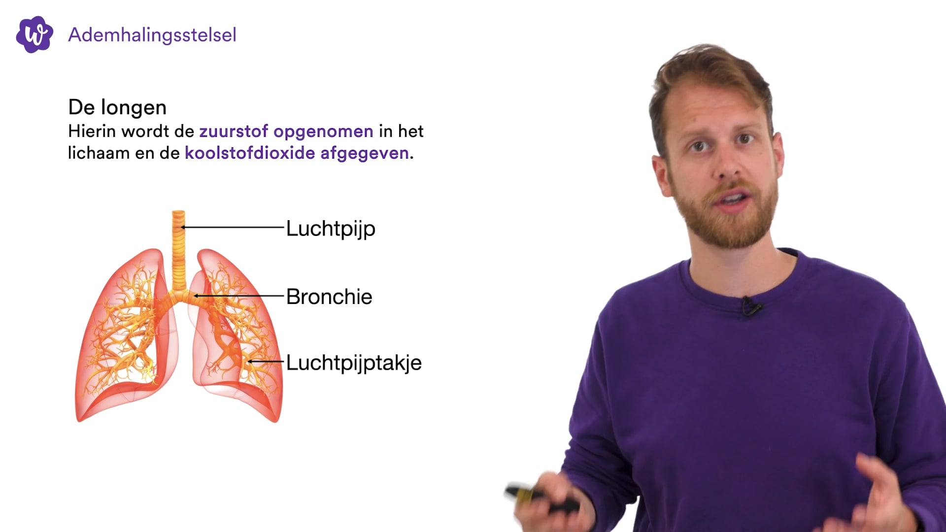 Oefen met Verbranding en ademhaling uit Biologie voor jou / bvj – 2/3 ...