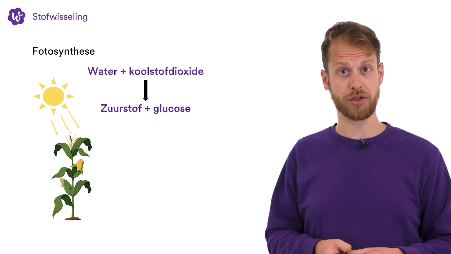 Stofwisseling oefenen | StudyGo