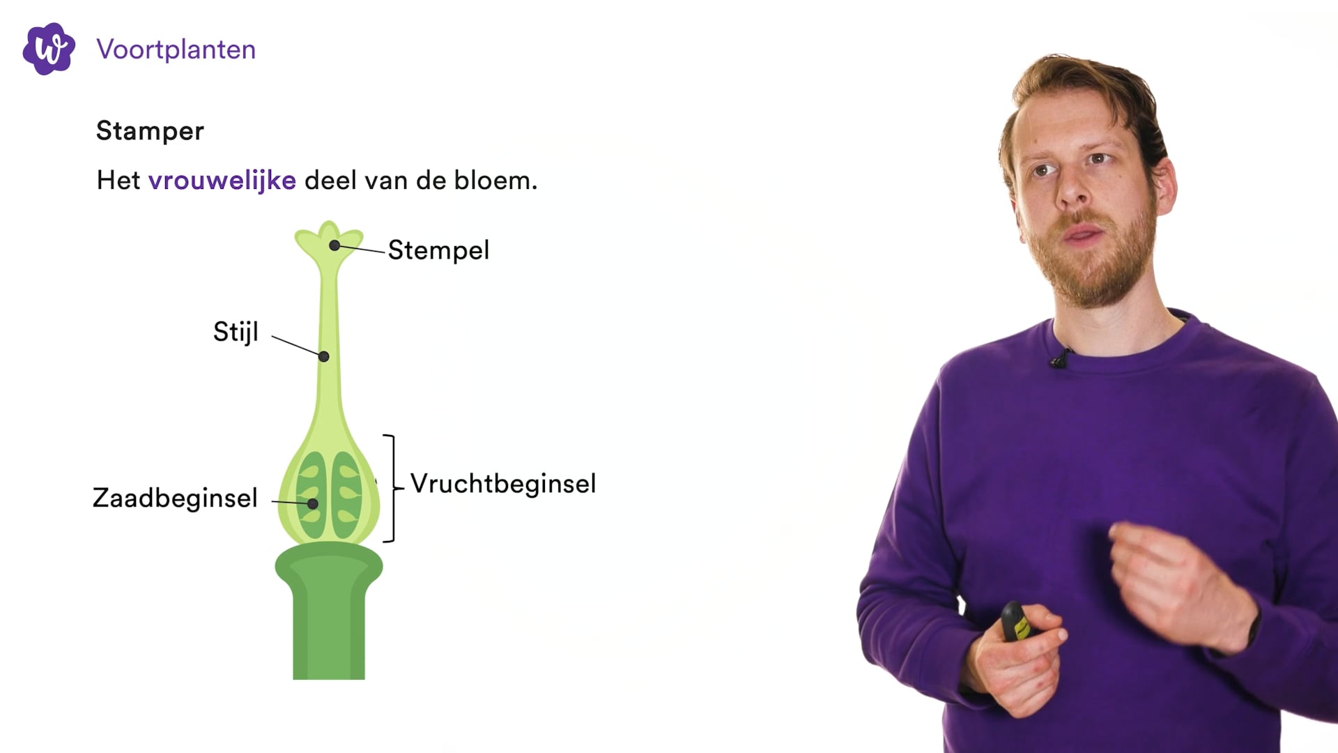 Voortplanten (Nectar) oefenen | StudyGo