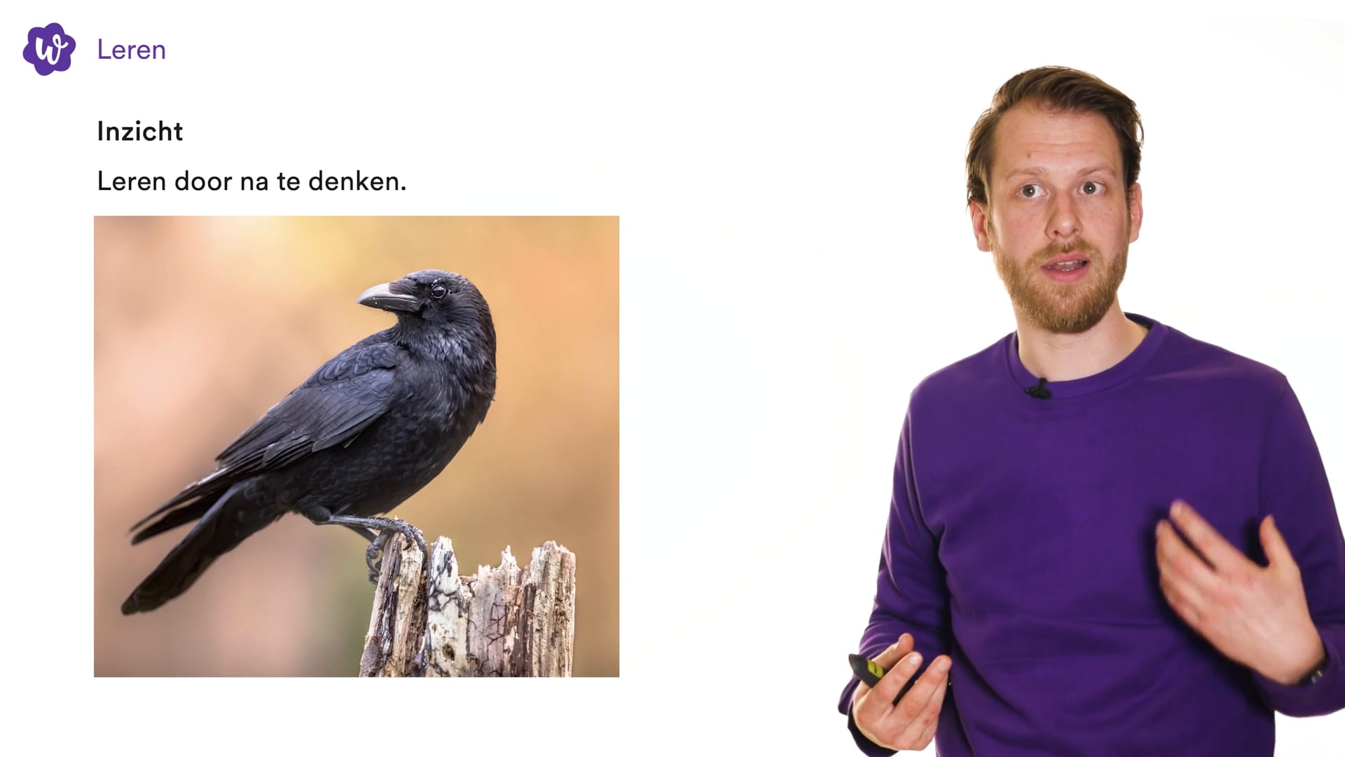 Leren oefenen | StudyGo