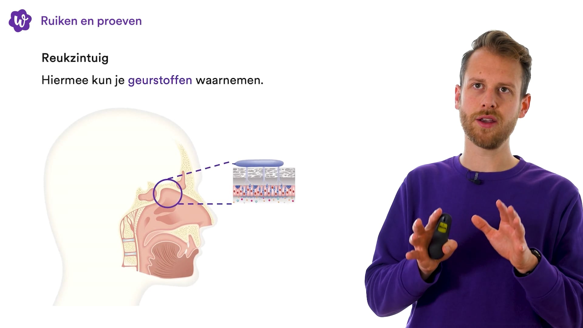 Ruiken en proeven oefenen | StudyGo
