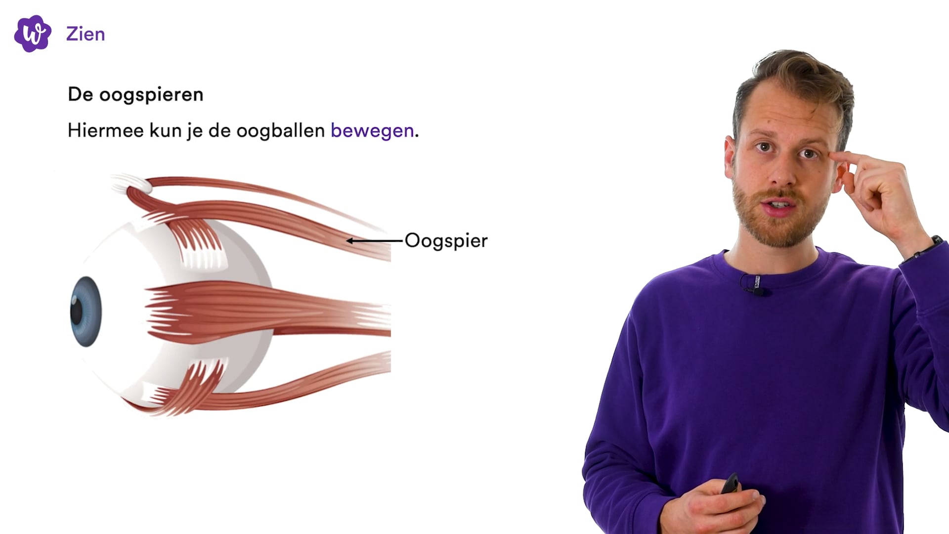 Zien oefenen | StudyGo