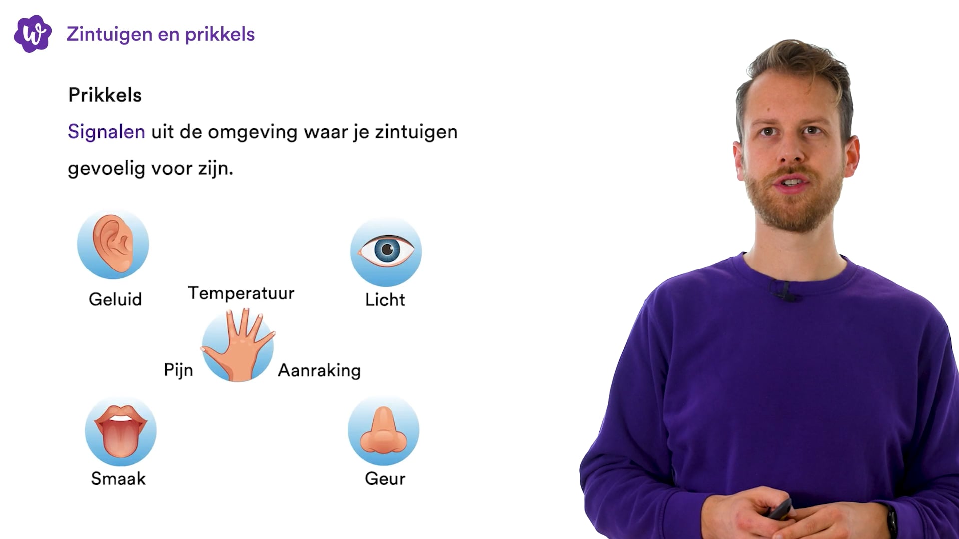 Zintuigen en prikkels oefenen | StudyGo