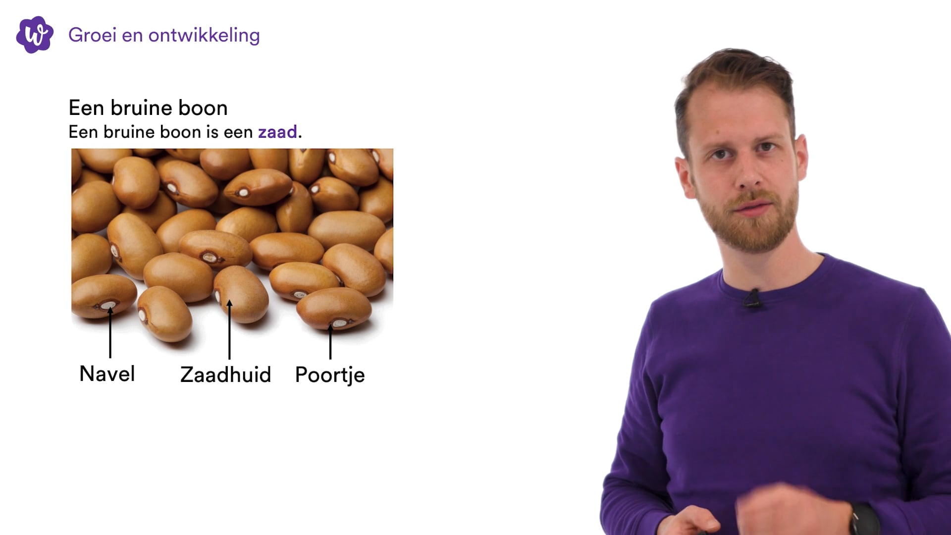 Groei en ontwikkeling oefenen | StudyGo