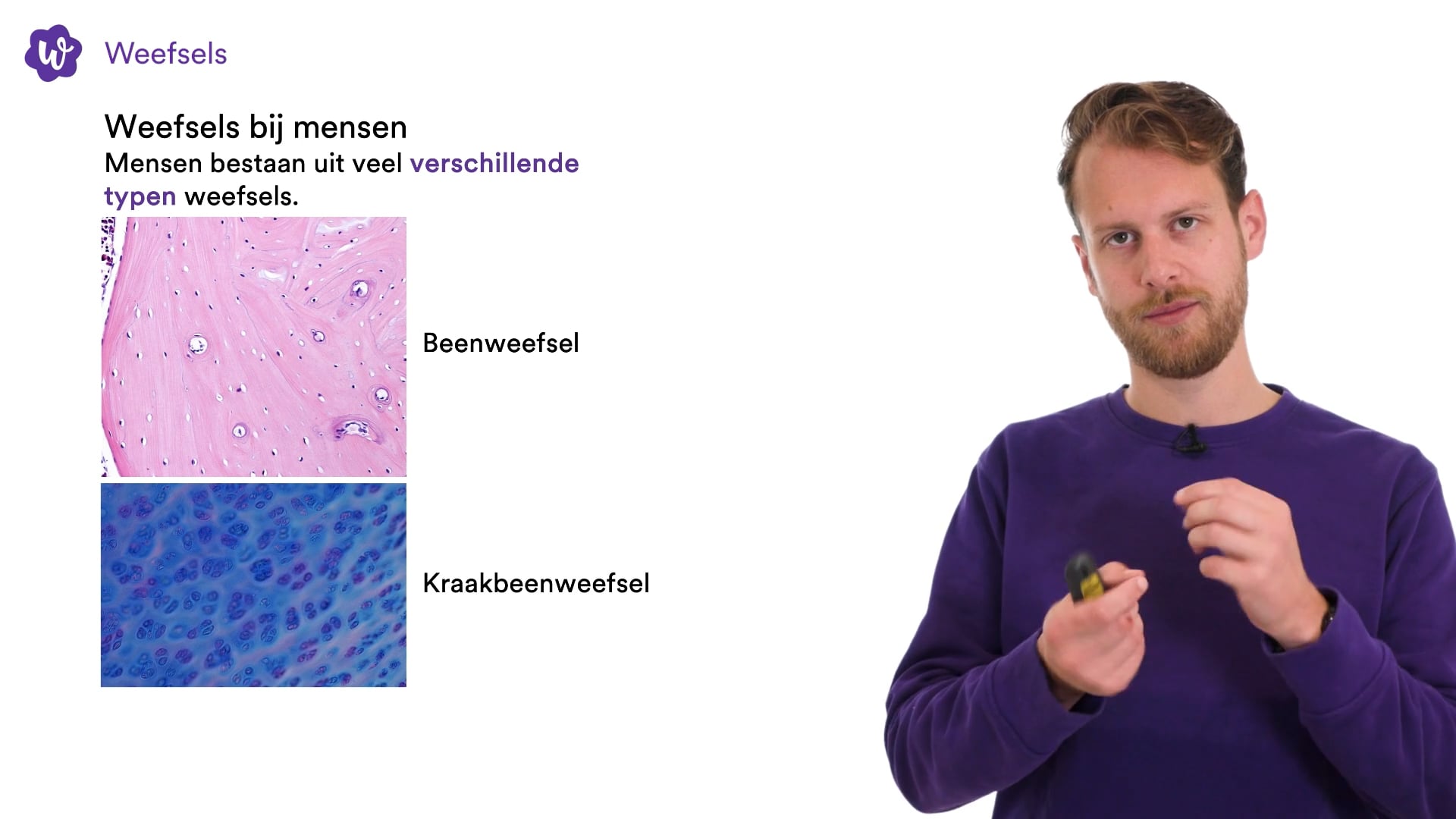 Weefsels oefenen | StudyGo