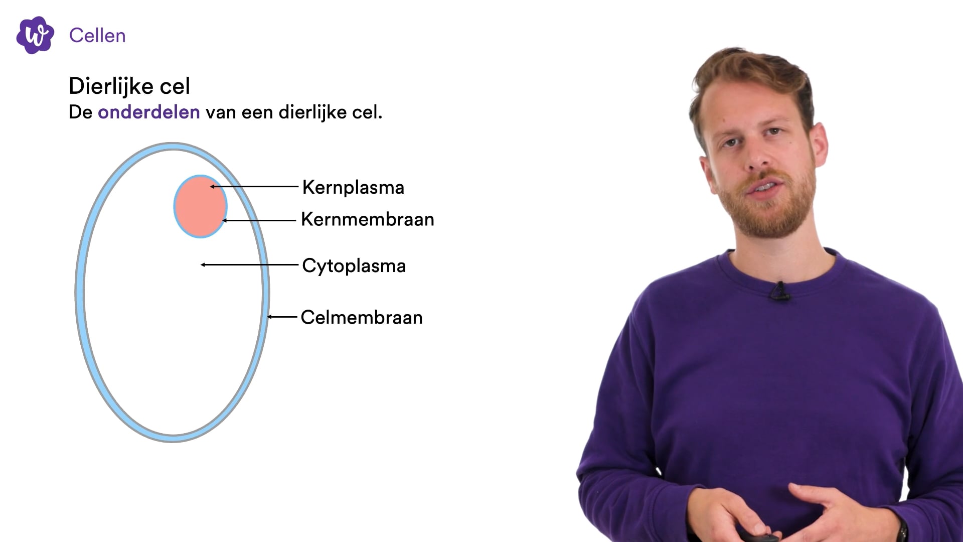 Cellen oefenen | StudyGo