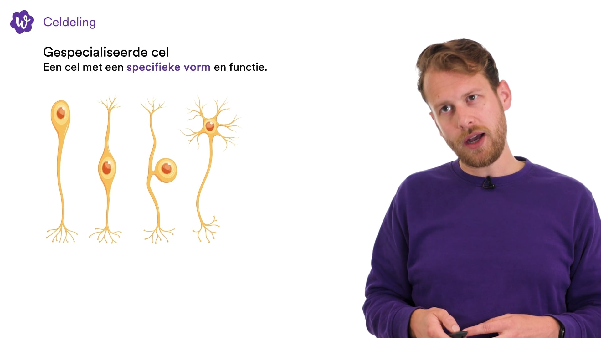 Celdeling oefenen | StudyGo