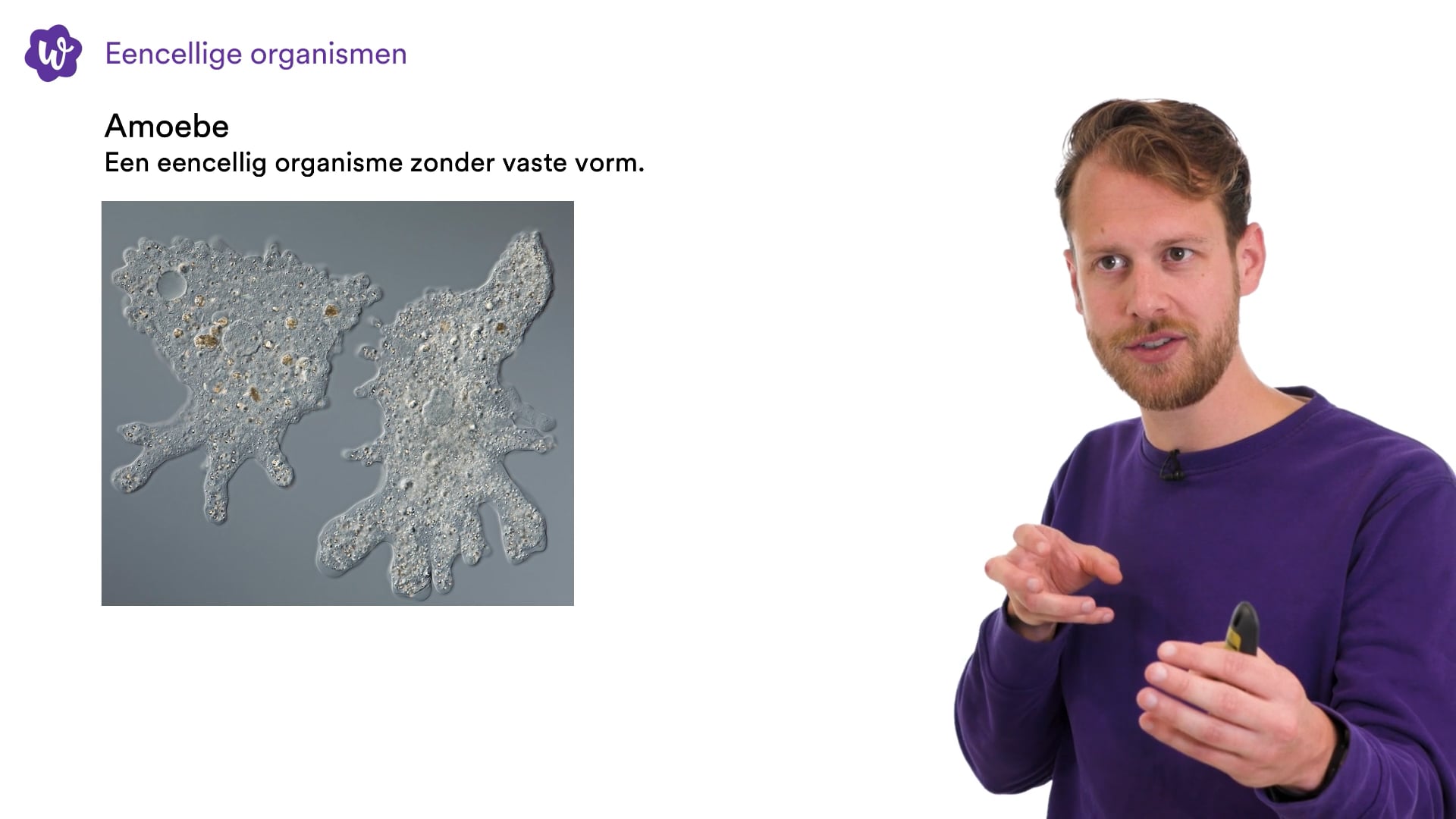 Eencellige organismen oefenen | StudyGo