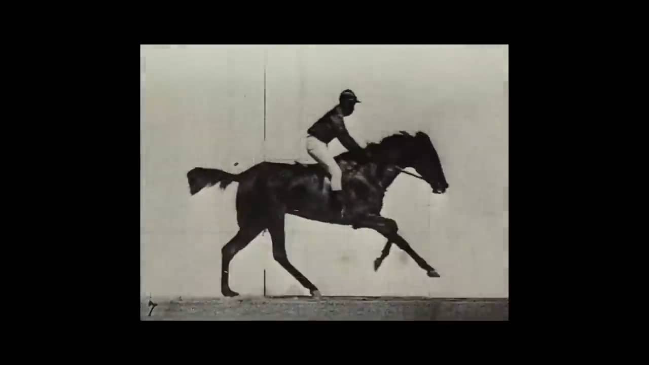 Nope - Streaming HD VF on Vimeo