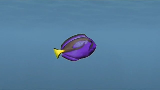 Finding Nemo Full Whale Scene Scene on Vimeo