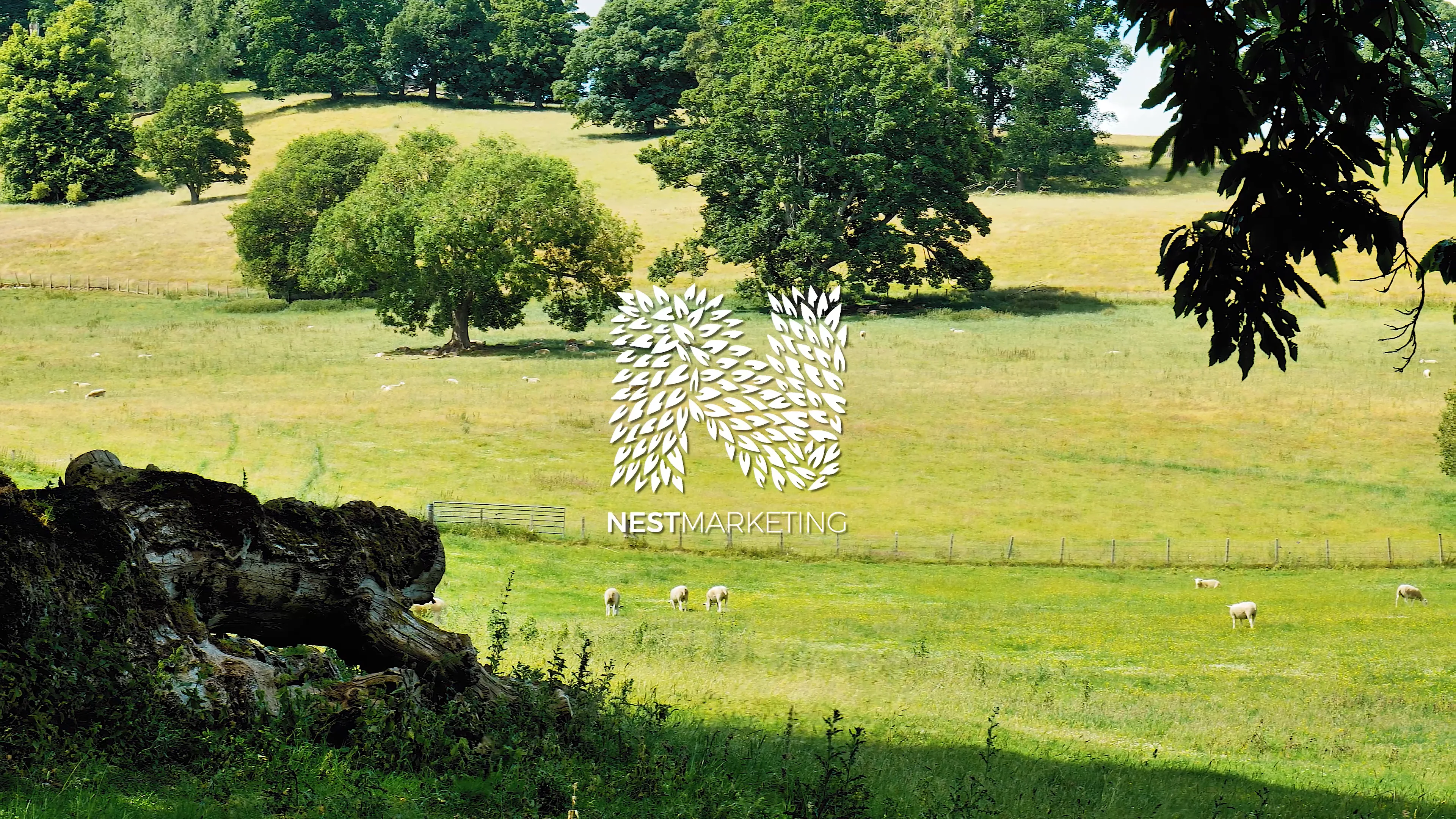 Graham & Sibbald: The Byre and Inchyra House, Glencarse, Perth PH2 7LU ...