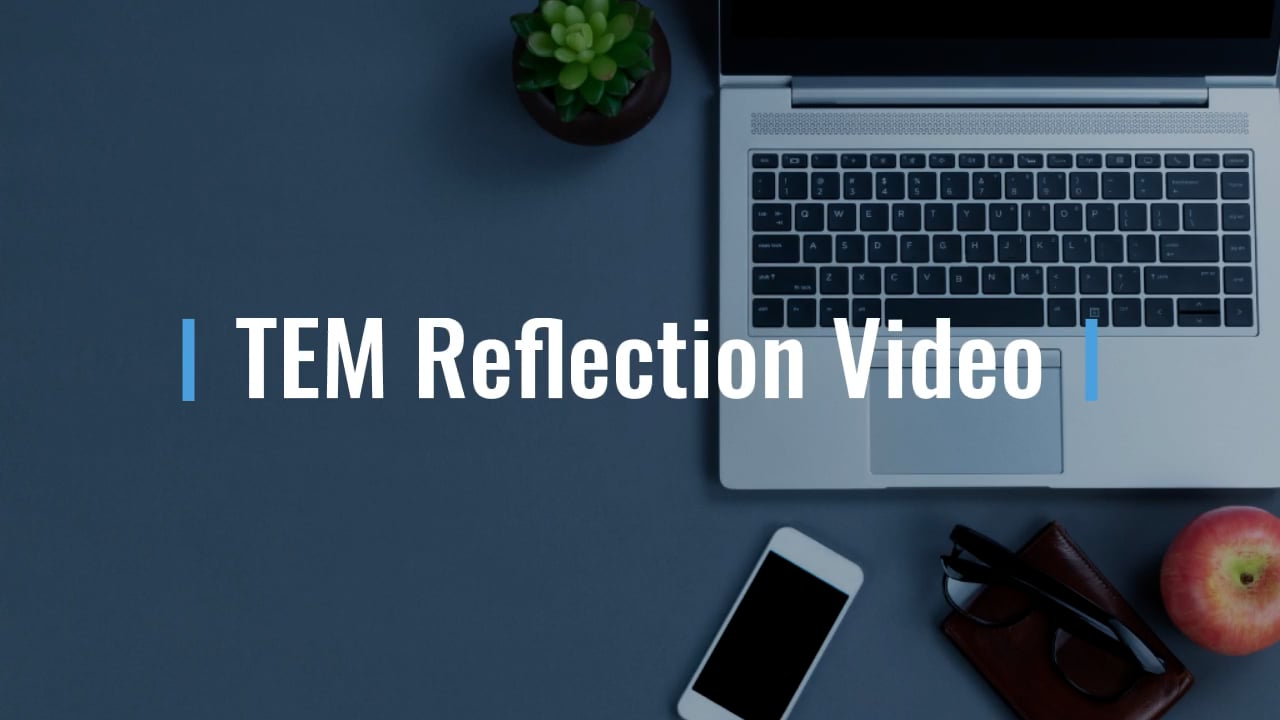 TEM_Reflection_Video.mp4 on Vimeo