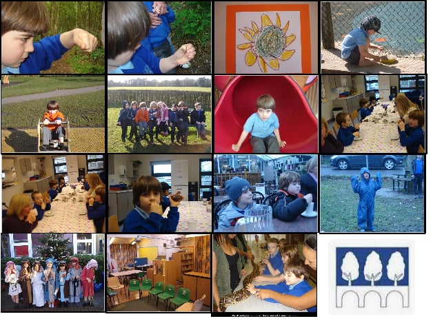 Linden Bridge School.mp4 on Vimeo