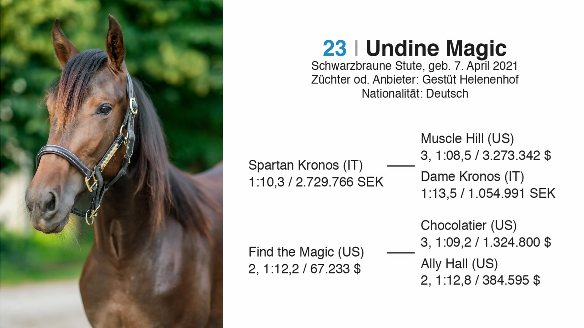 Auktionsnummer 23 - Undine Magic on Vimeo