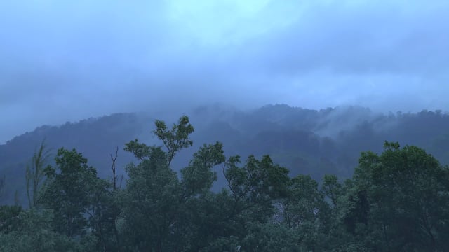 Rain Forest Mountain - Free video on Pixabay