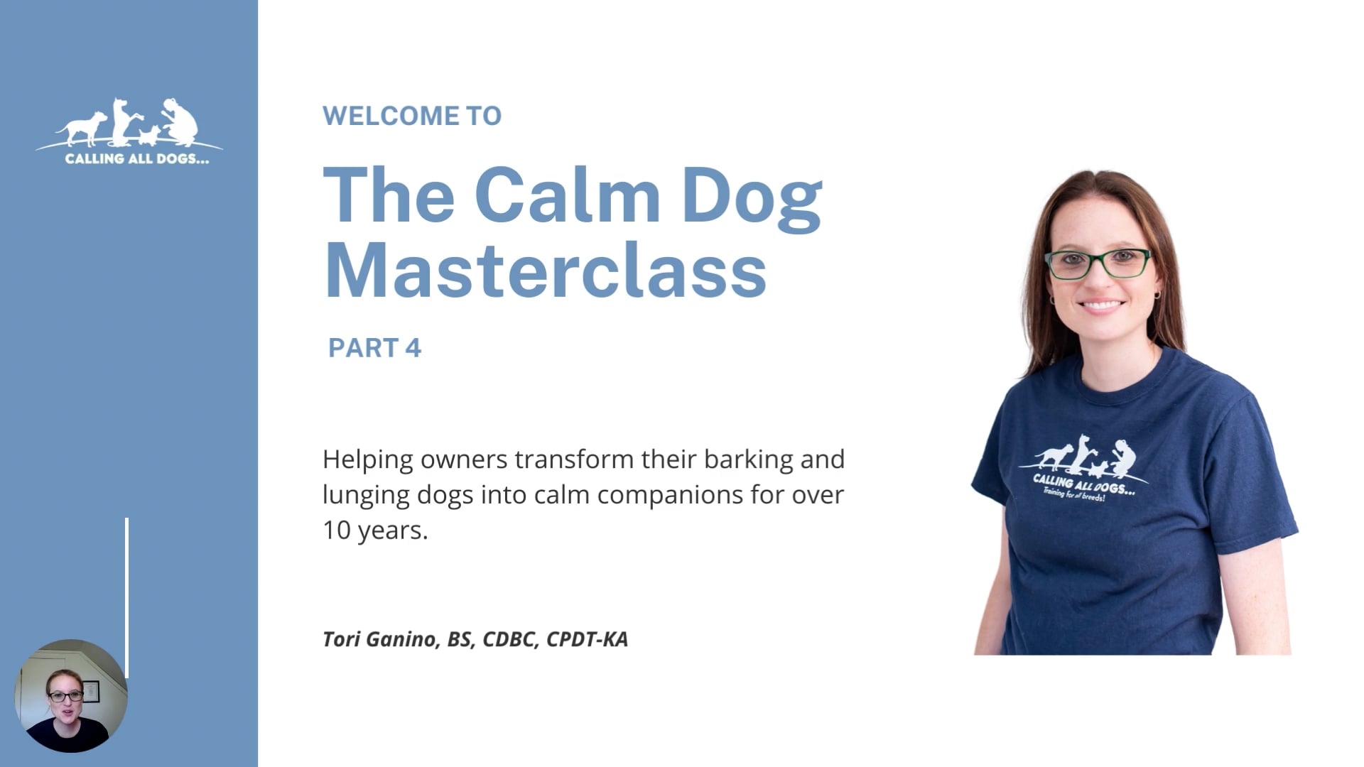 Calm Dog Masterclass Part 4.mp4 on Vimeo