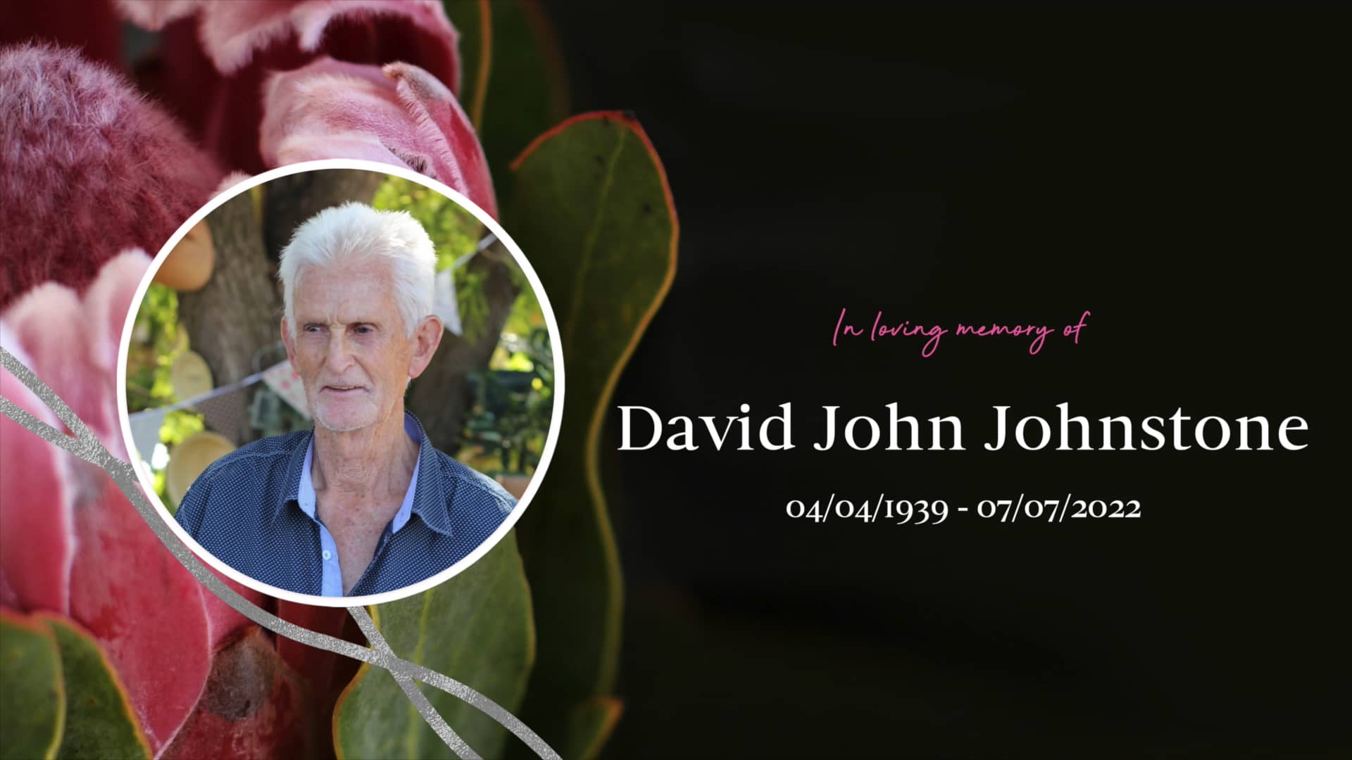David Johnstone on Vimeo