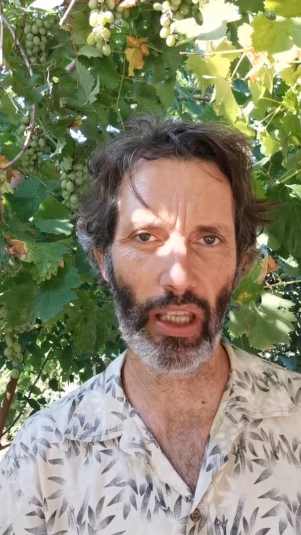 Client Review - Eric Viard on Vimeo