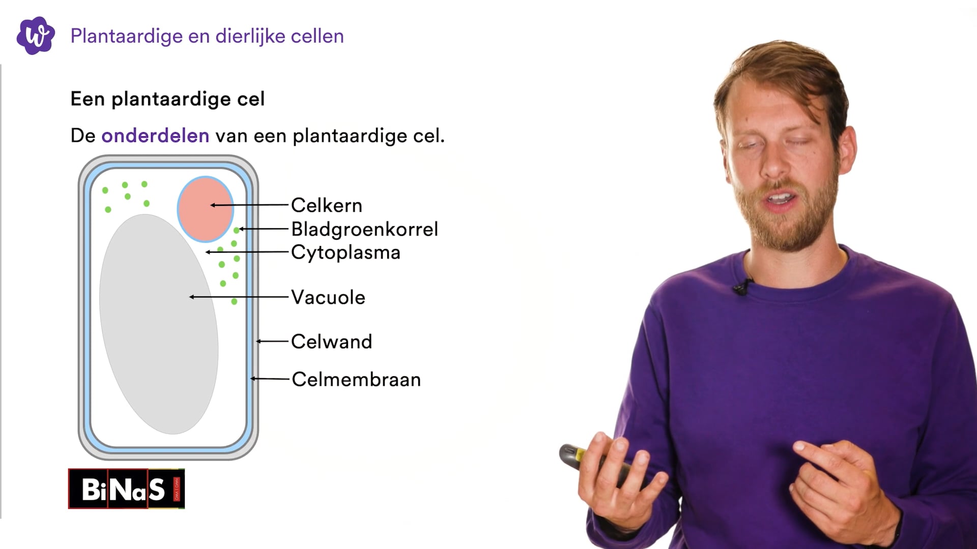 Plantaardige en dierlijke cellen oefenen | StudyGo