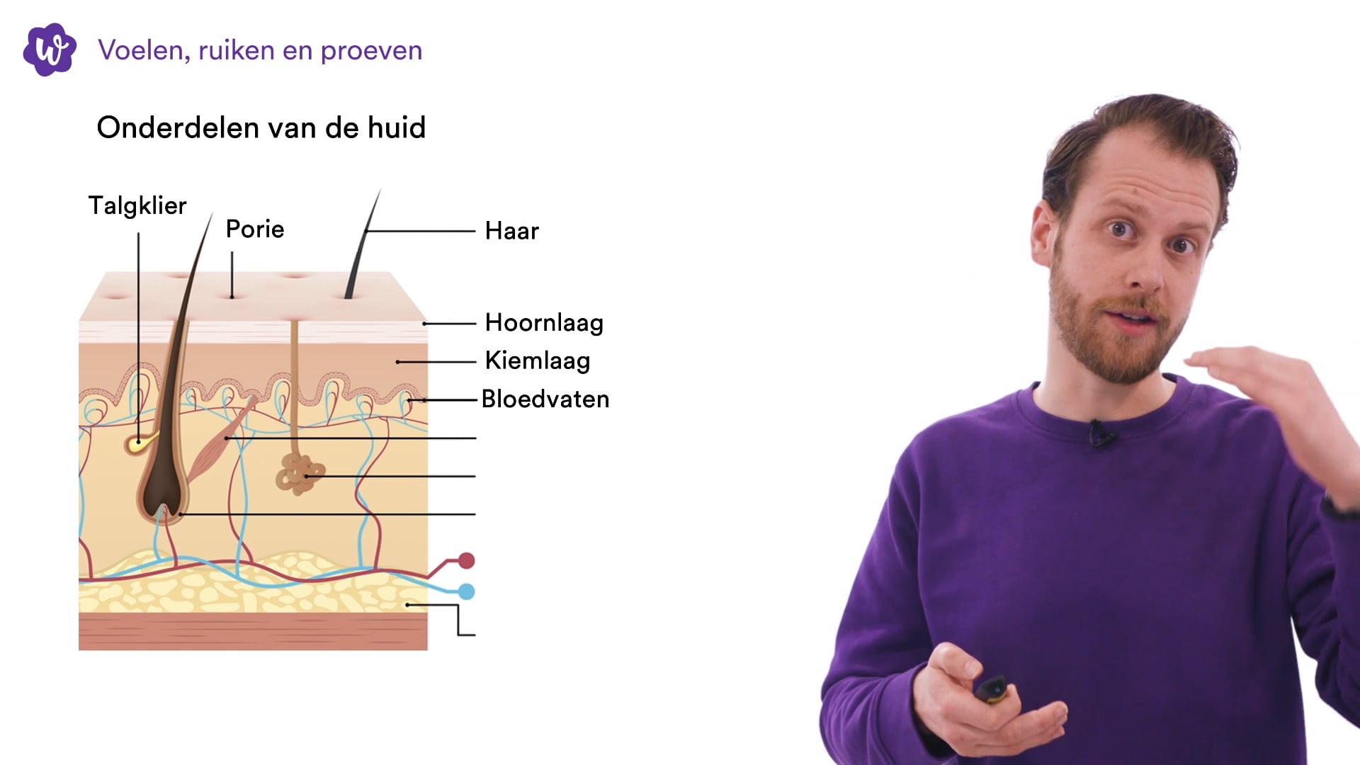 Voelen, ruiken en proeven oefenen | StudyGo
