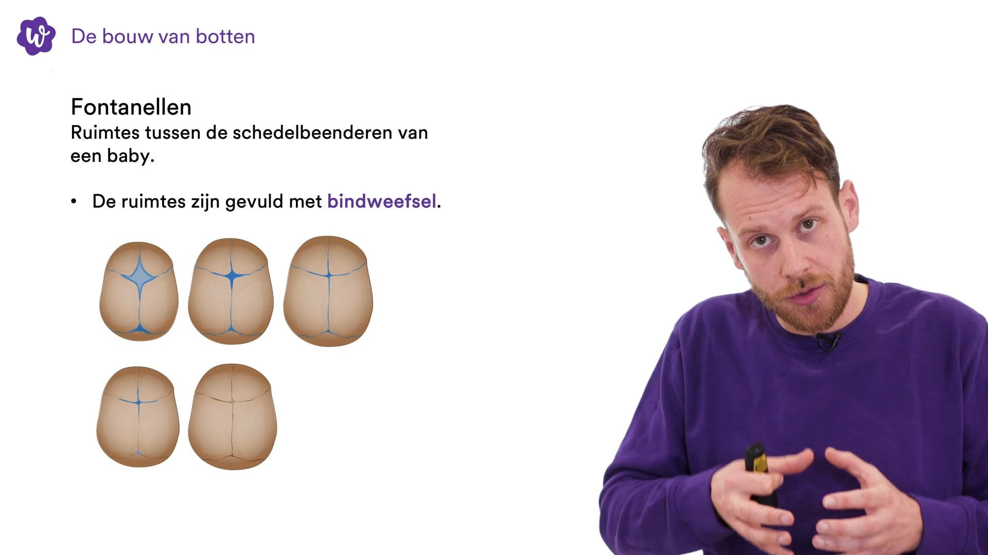 Beenverbindingen oefenen | StudyGo