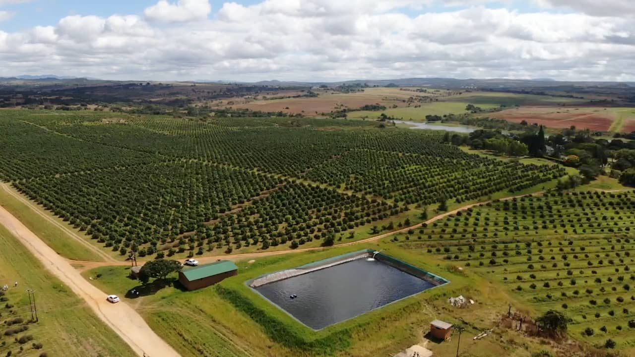 Mangwana Capital header video (2022_05_05_11_35_22).mp4 on Vimeo