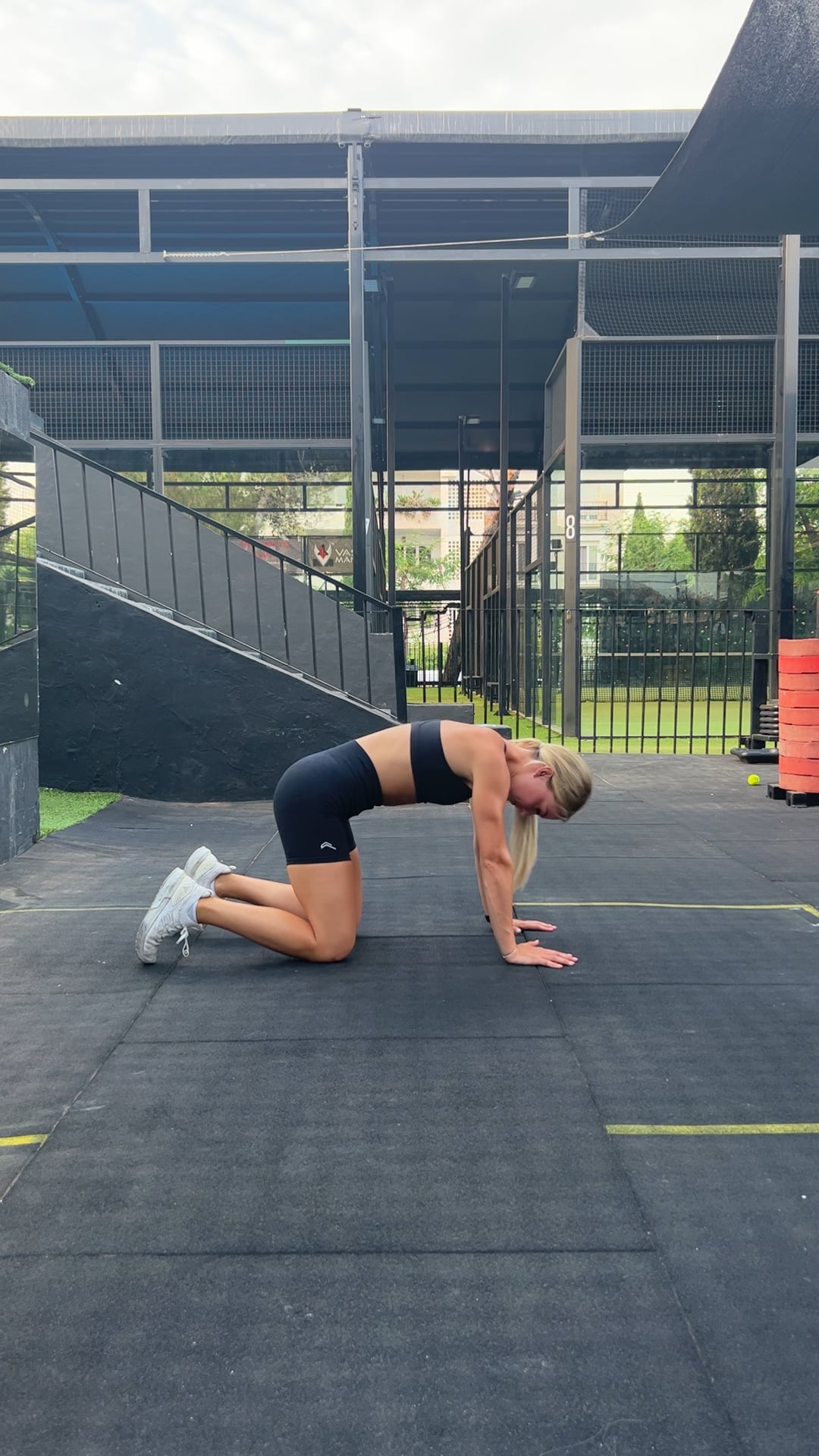 Cat and Camel on Vimeo