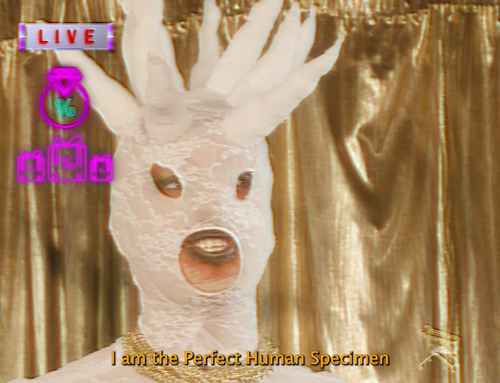 LYNKS PERFECT HUMAN SPECIMEN MUSIC VIDEO.mp4 on Vimeo