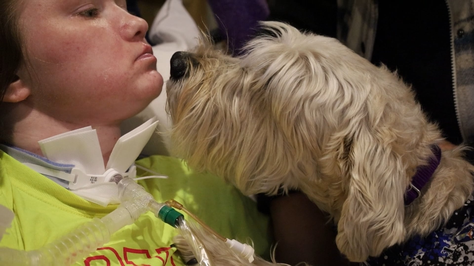 Pet Therapy- Puppy Kisses on Vimeo
