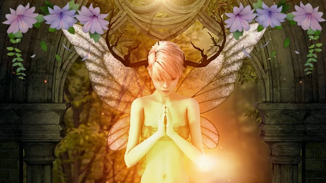 Fairy, Woman, Pray. Free Stock Video - Pixabay