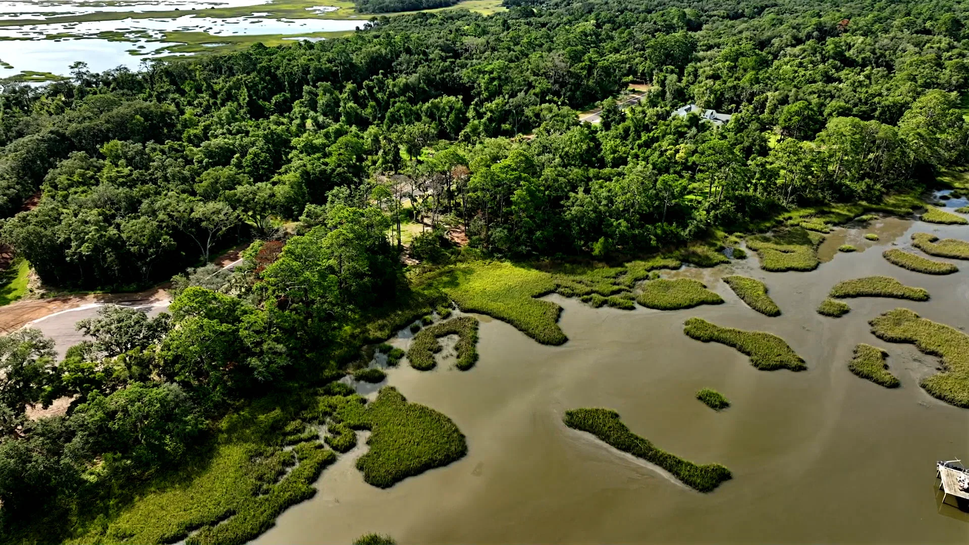 283 Canopy Spot on Vimeo