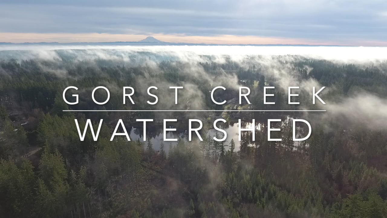 gorst creek v2.mp4 on Vimeo