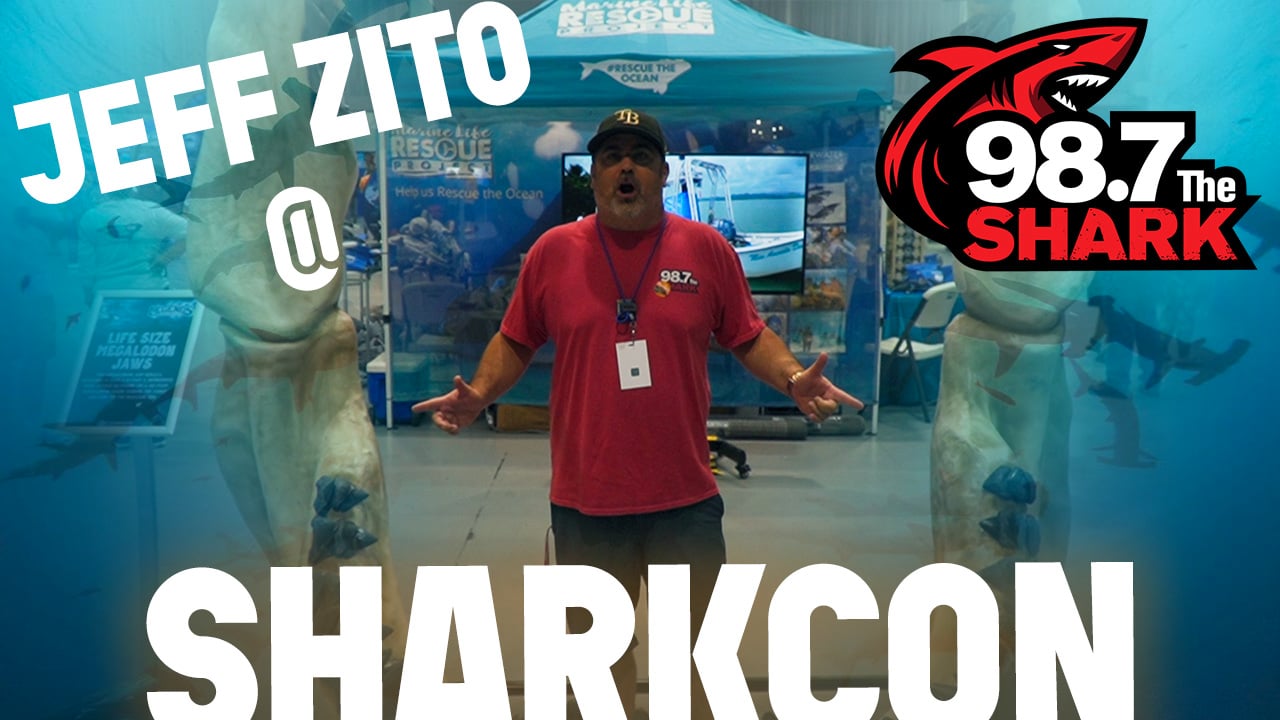 Jeff Zito @ SharkCon on Vimeo