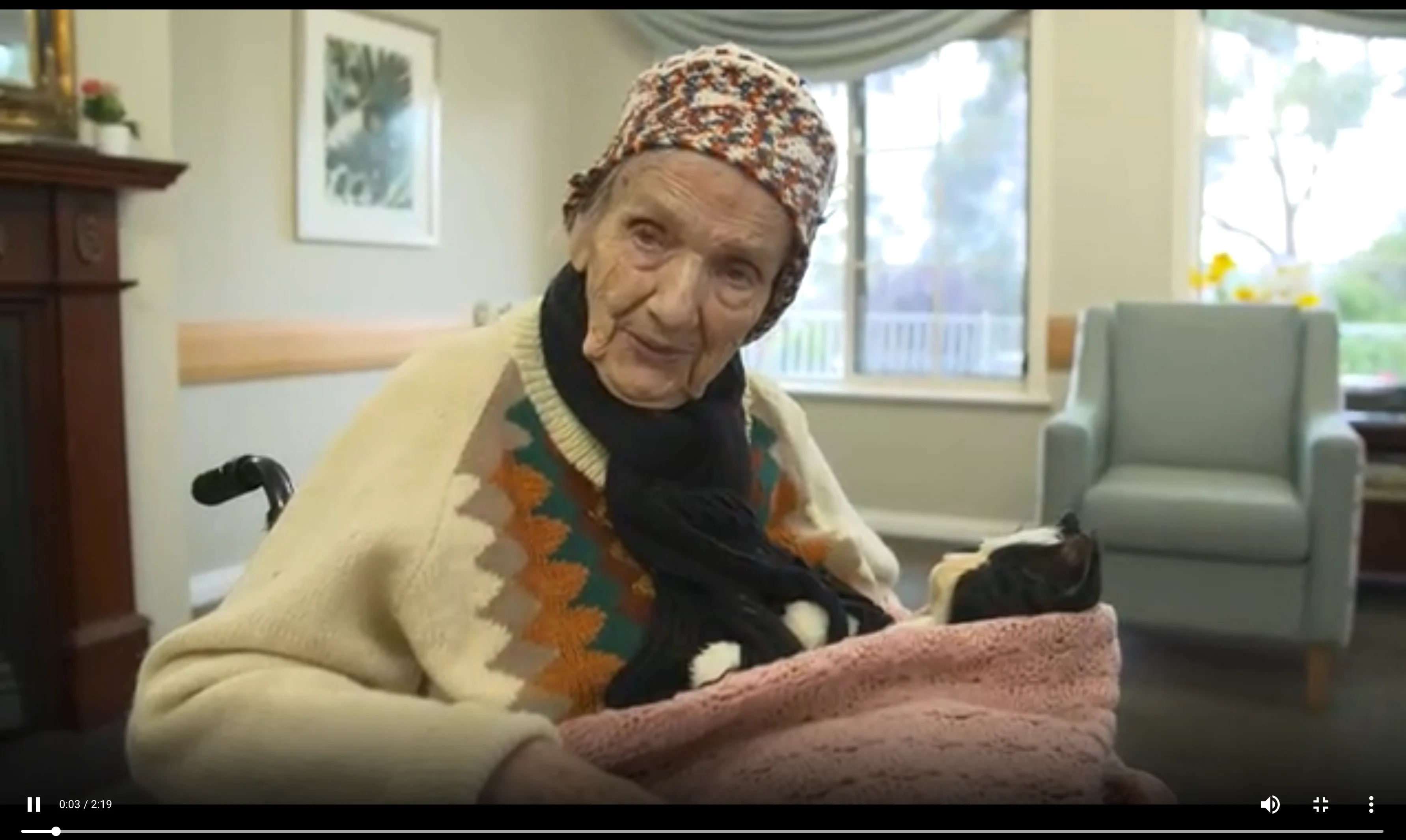 SBS World News Clip on Vimeo