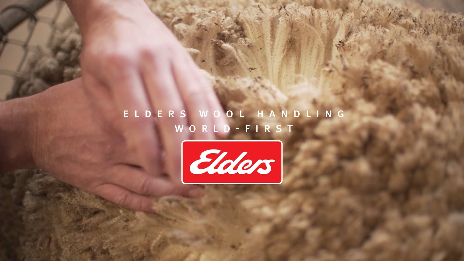 Elders world-first wool handling business (sneak peek) on Vimeo