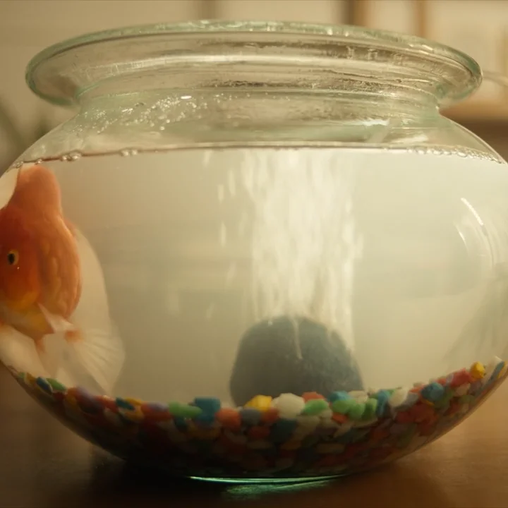 Short Film Goldfish.mp4 on Vimeo