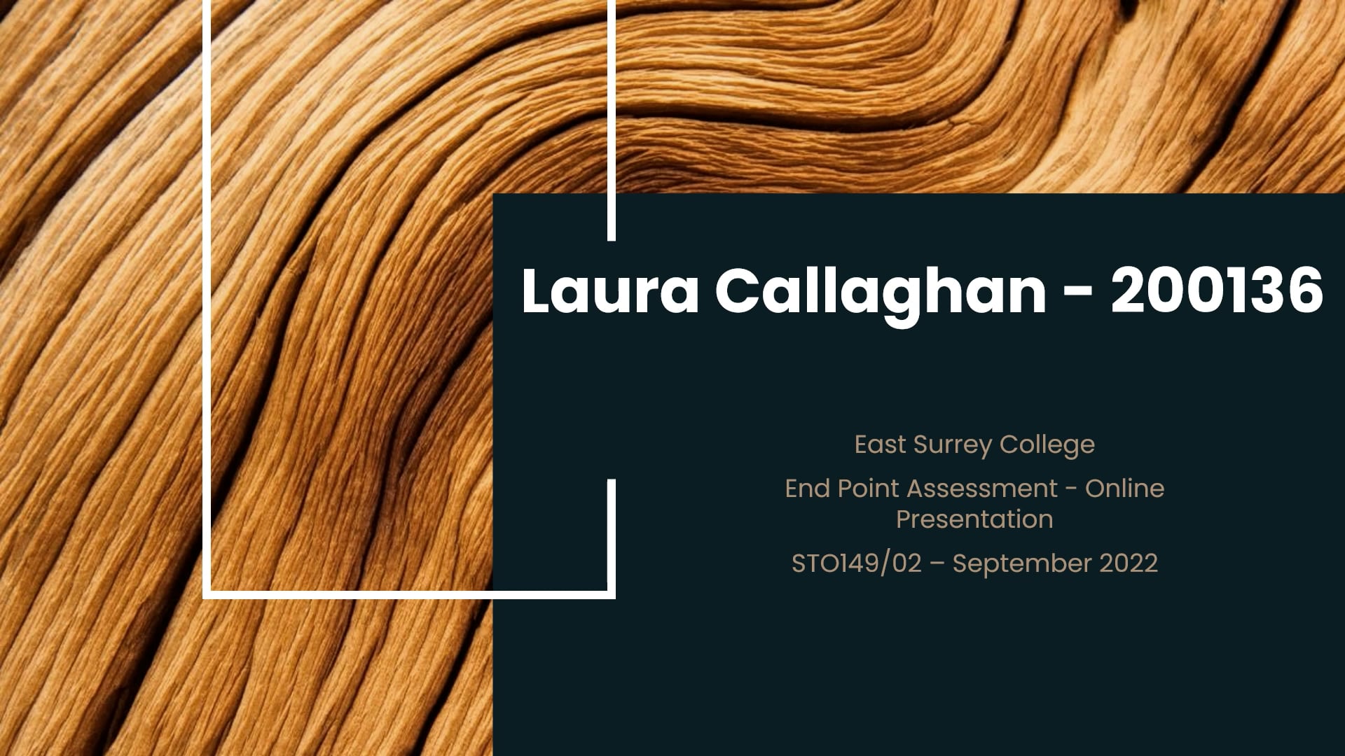 Laura Callaghan - Online Presentation - EPA-2022.mp4 on Vimeo
