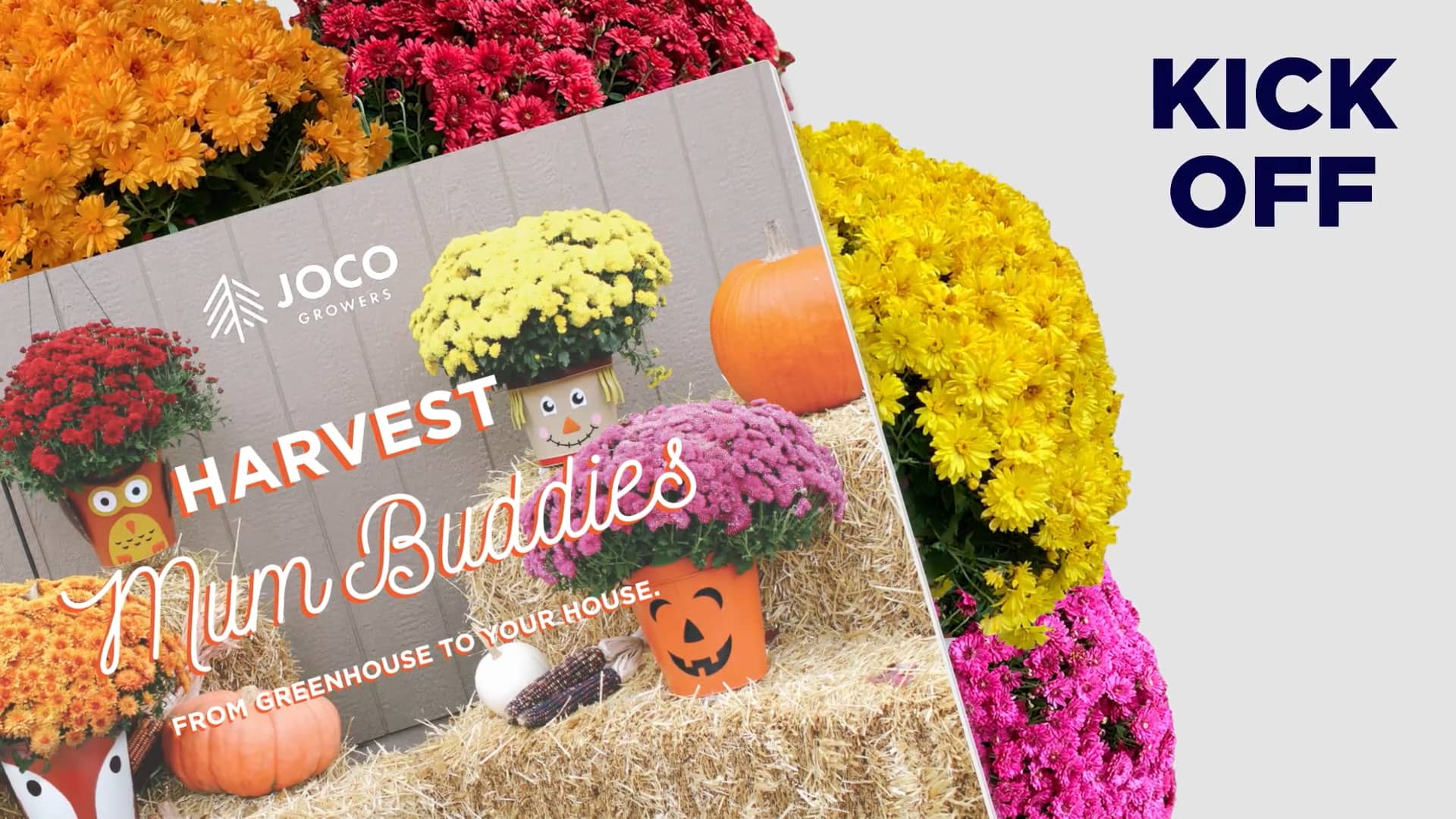 Harvest Mum Buddies Kick Off Video - JOCO Growers (Roxy Hoot) on Vimeo