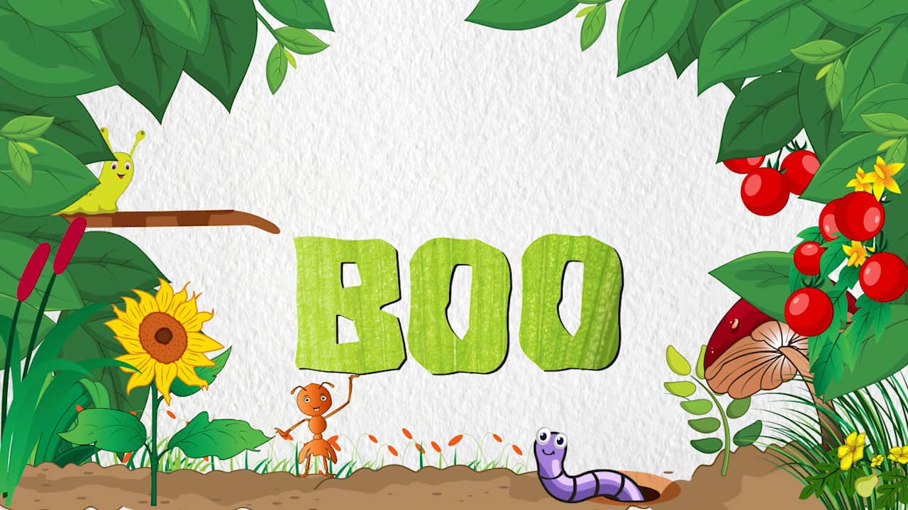 thumbnail_boo.mp4 on Vimeo