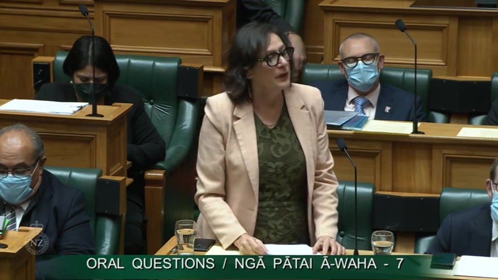 Question 7 - Rachel Brooking to the Minister of Conservation on Vimeo