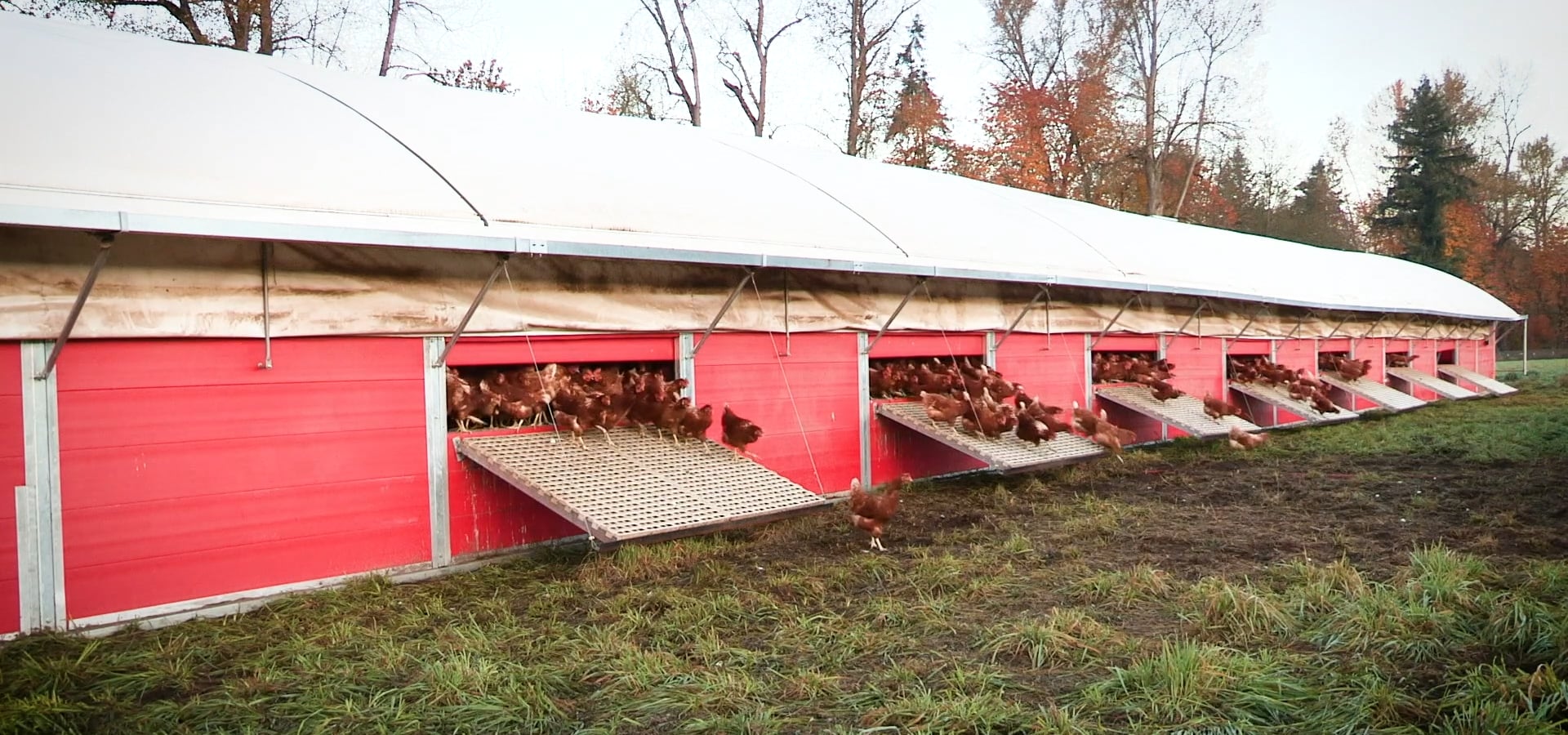 Wilcox Farms on Vimeo