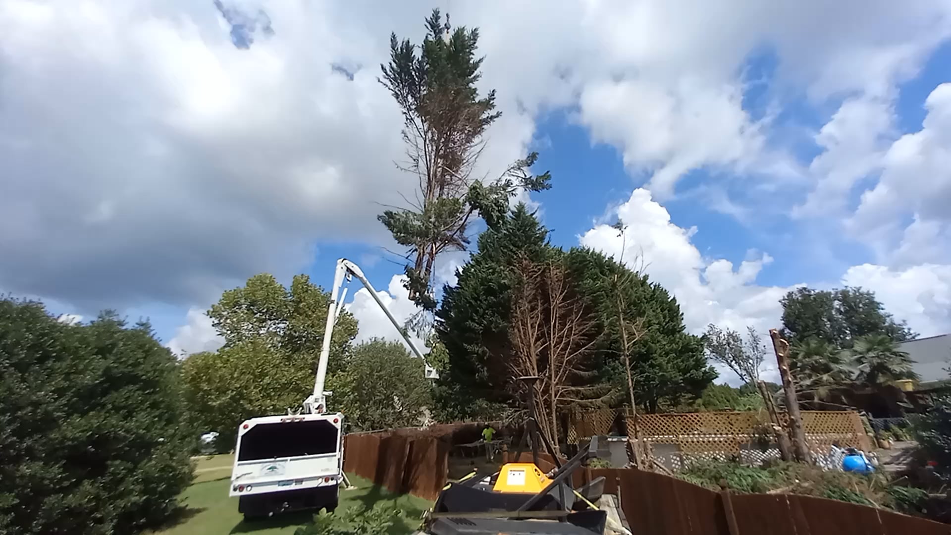 Affordable Tree Service Near Me - Landrum Tree Service