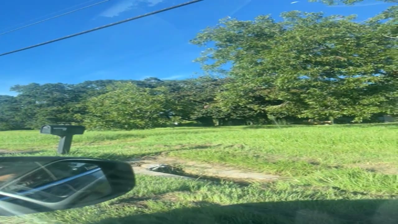test on Vimeo