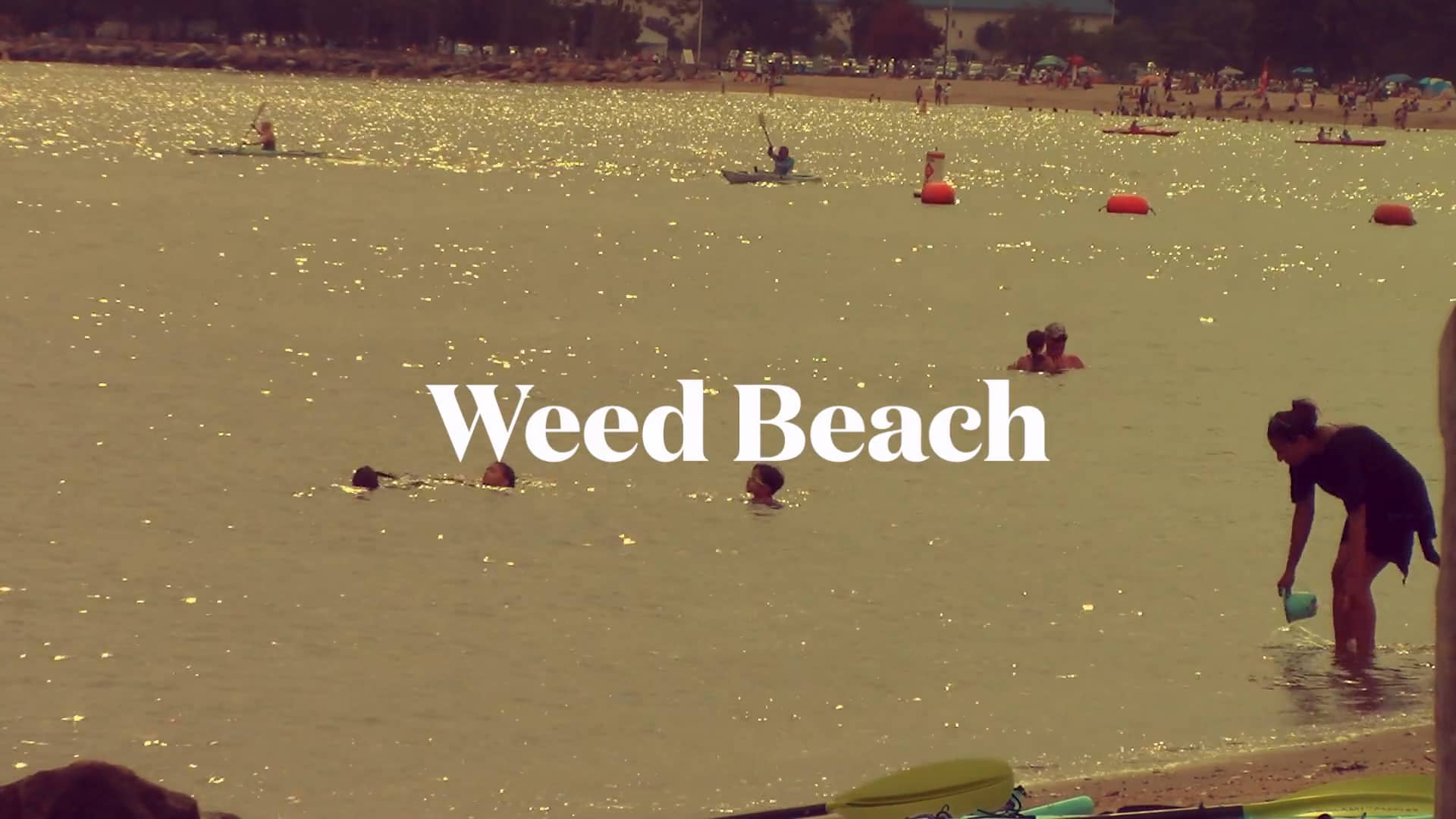 Summertime at Weed Beach on Vimeo