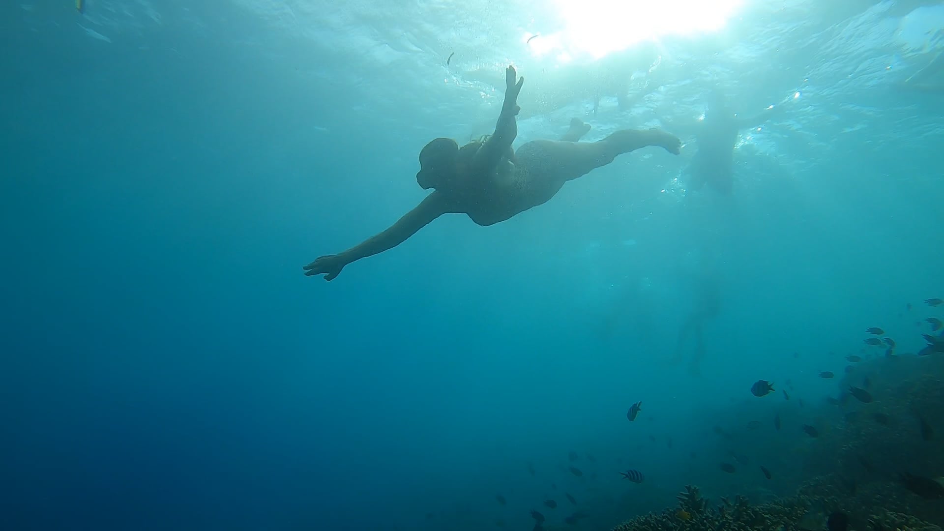 Dive in on Vimeo