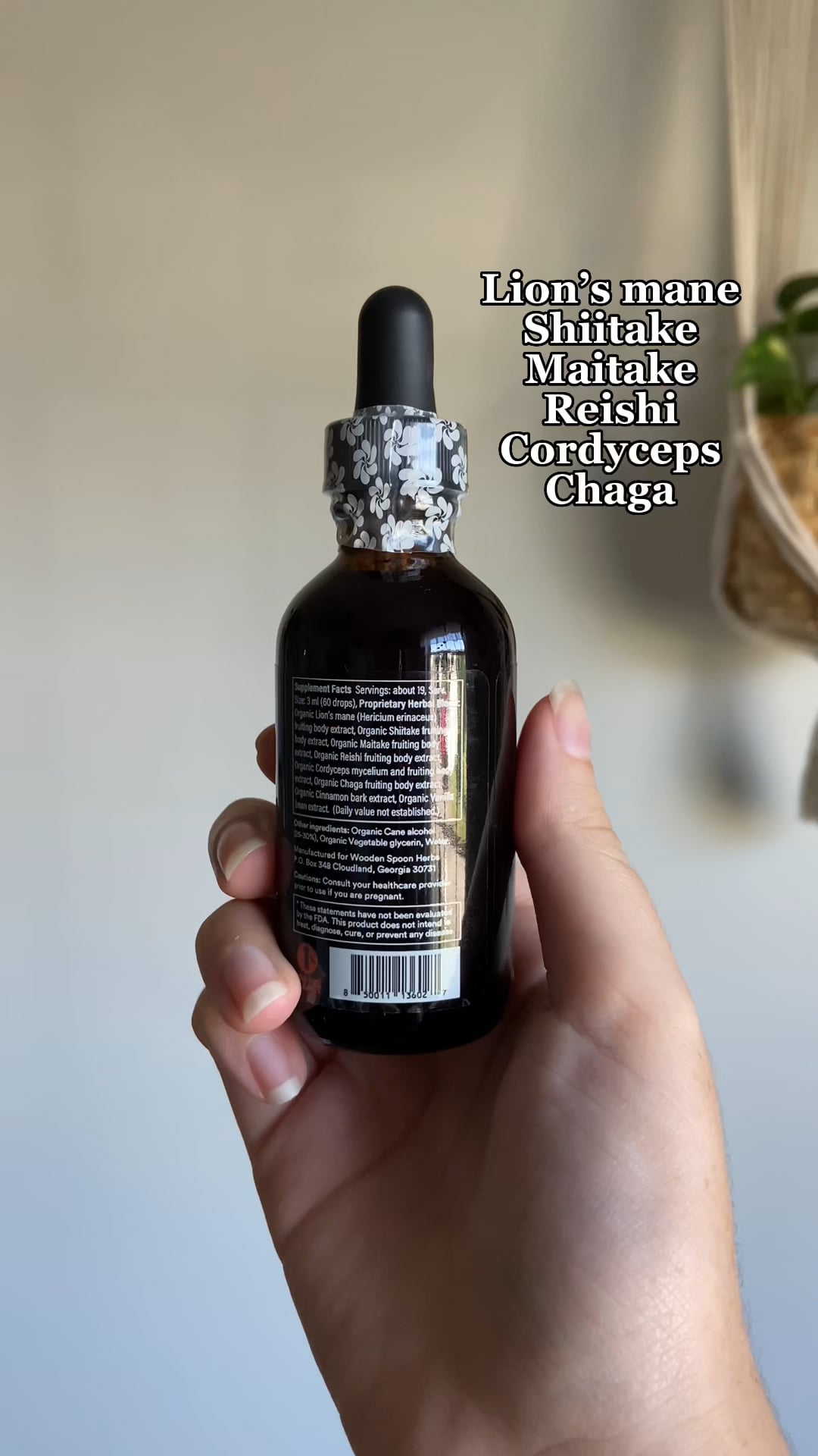 Mushroom Magic Colleen Boggs on Vimeo