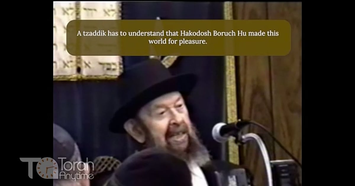 R' Avigdor Miller ZTL | Toras Avigdor Q&A episode 2: What Is the ...