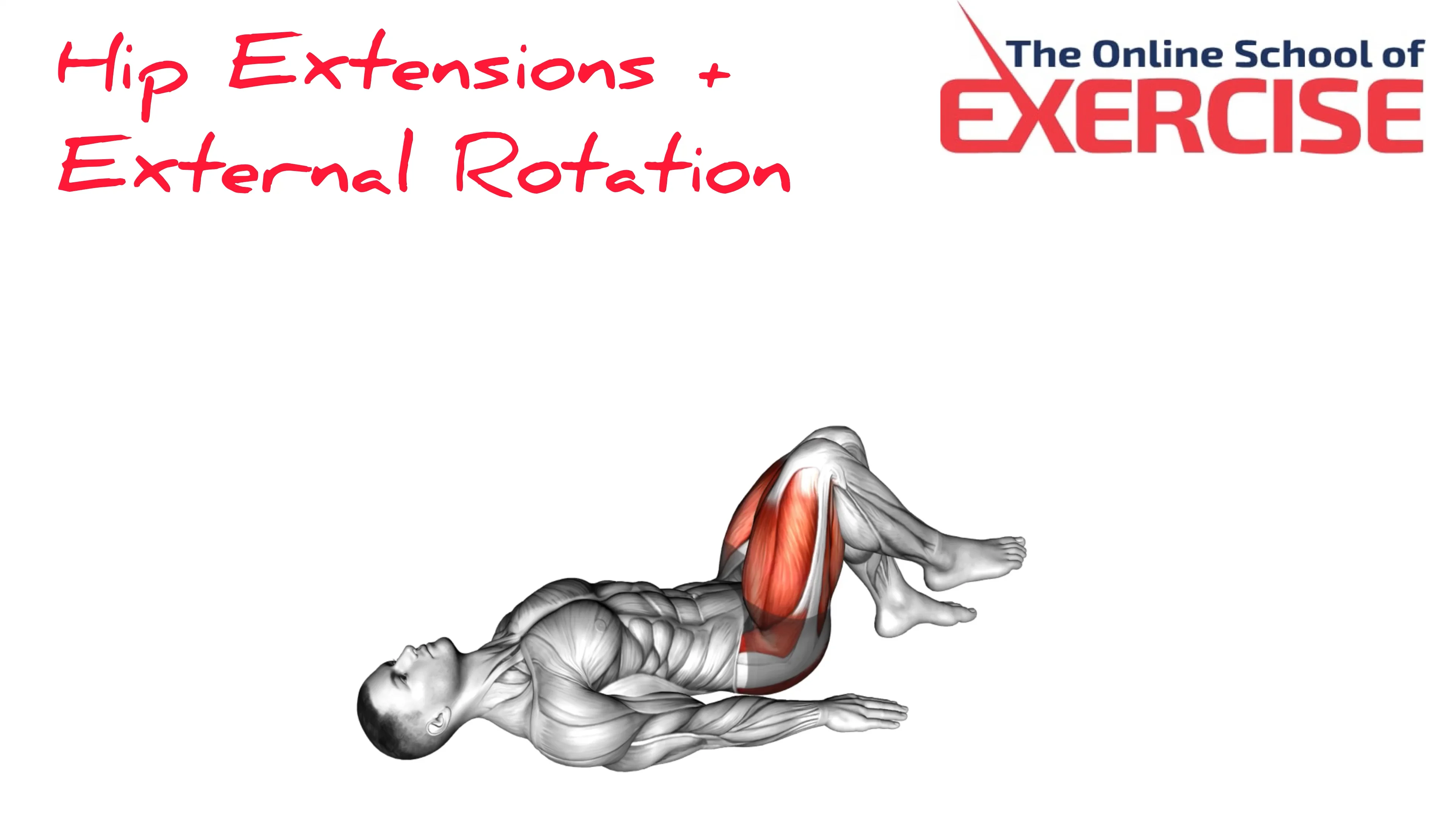 Hip Extension + External Rotation on Vimeo