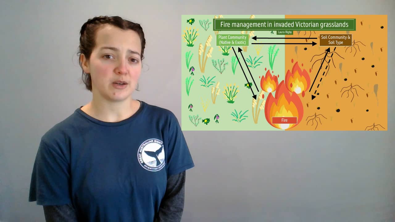 Laura Rigby_Fire management in invaded Victorian grasslands on Vimeo